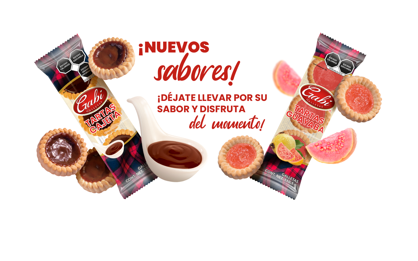 Home | Galletas Gabi